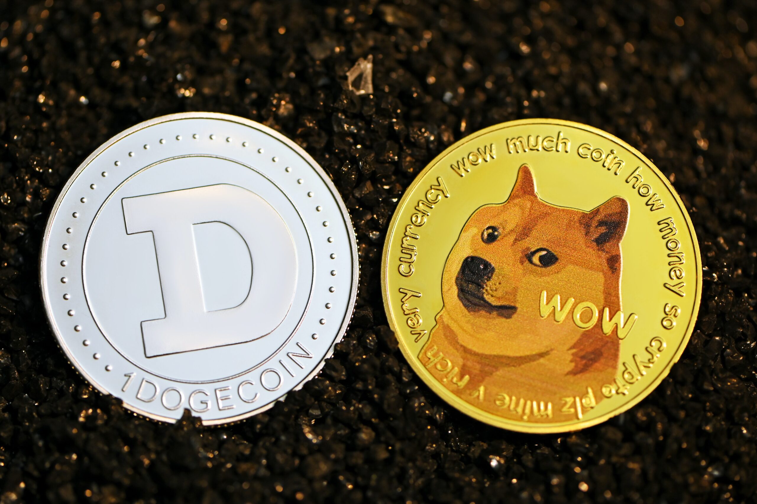 What is Dogecoin, and How Does it Work? – Rank-It.ca