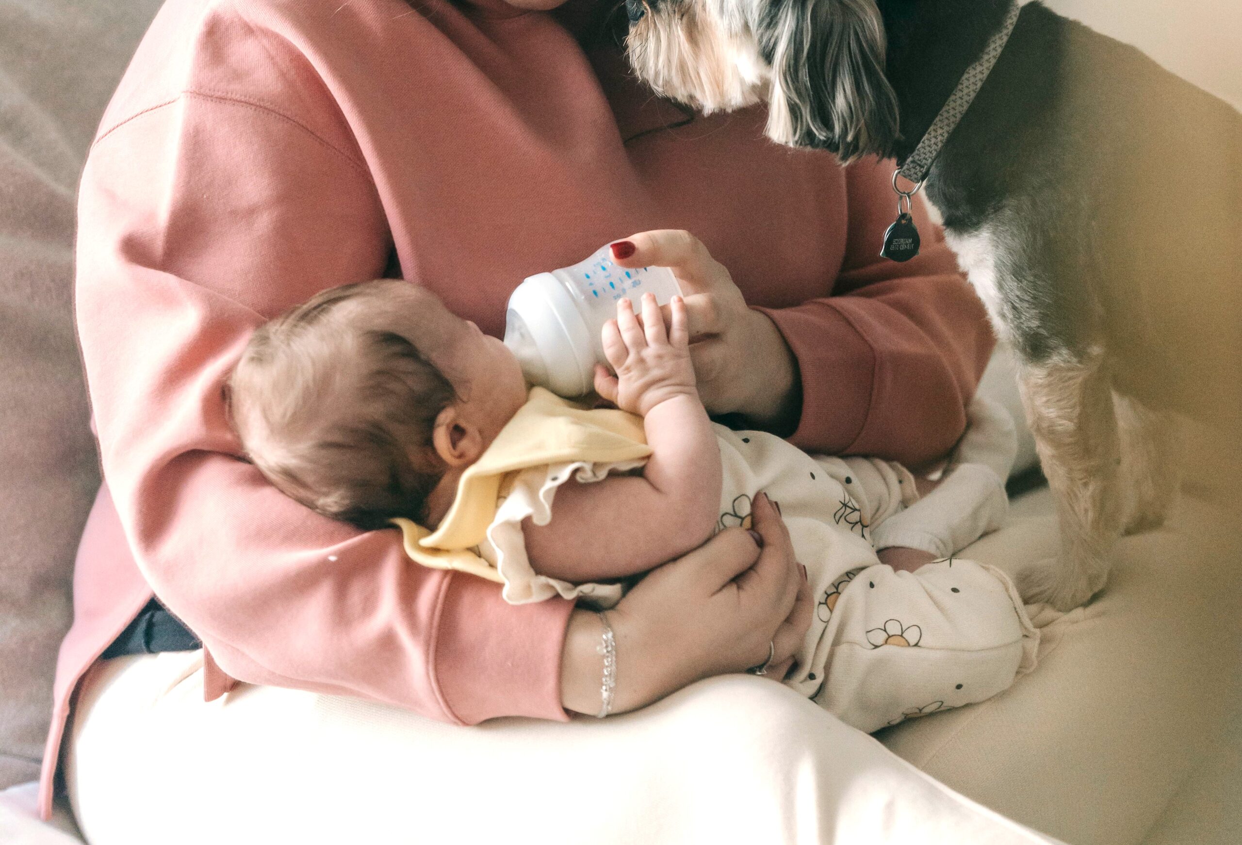 The Best Baby Formulas in Canada – Rank-it.ca