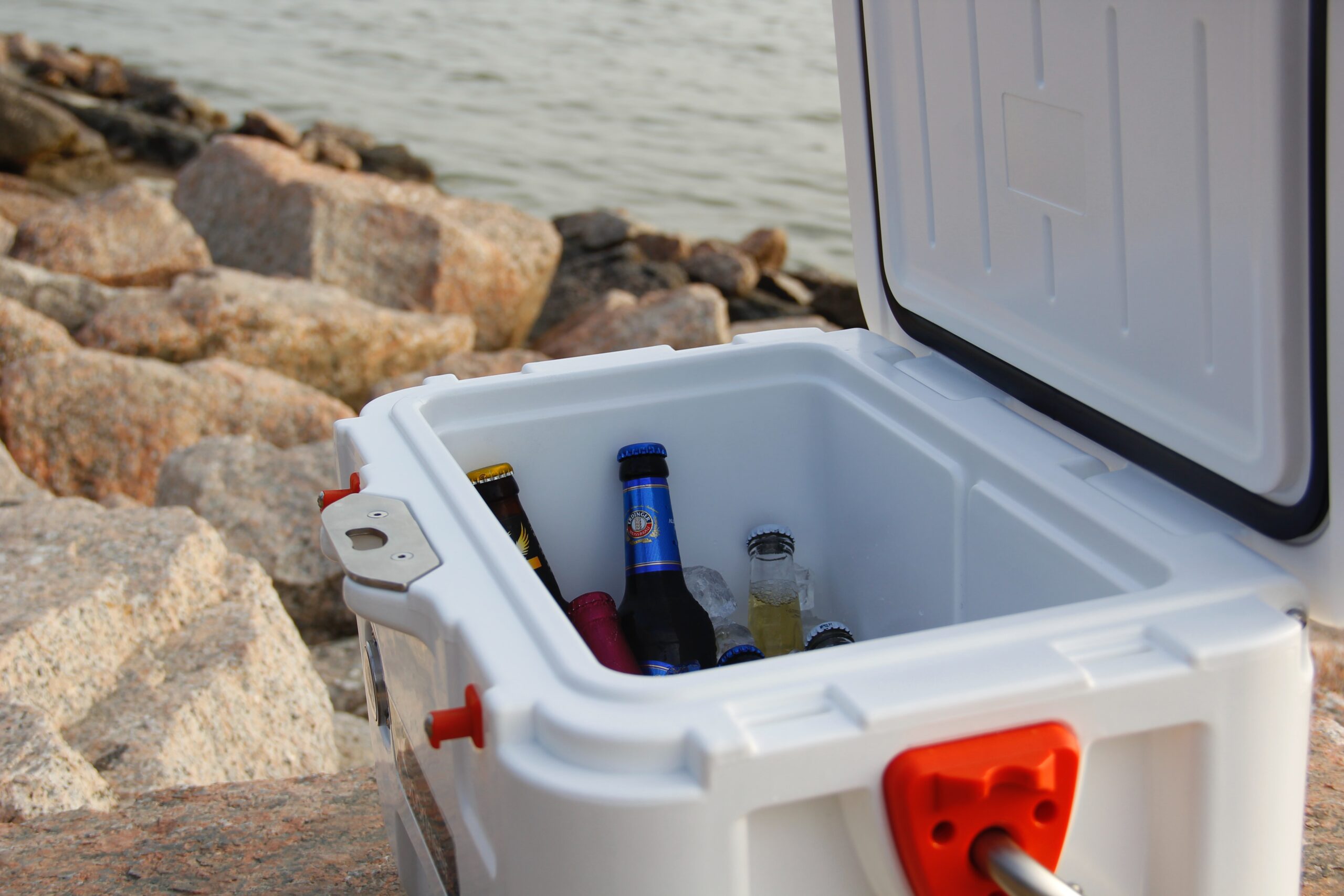 Best Coolers In Canada – Reviews by Rank-It.ca